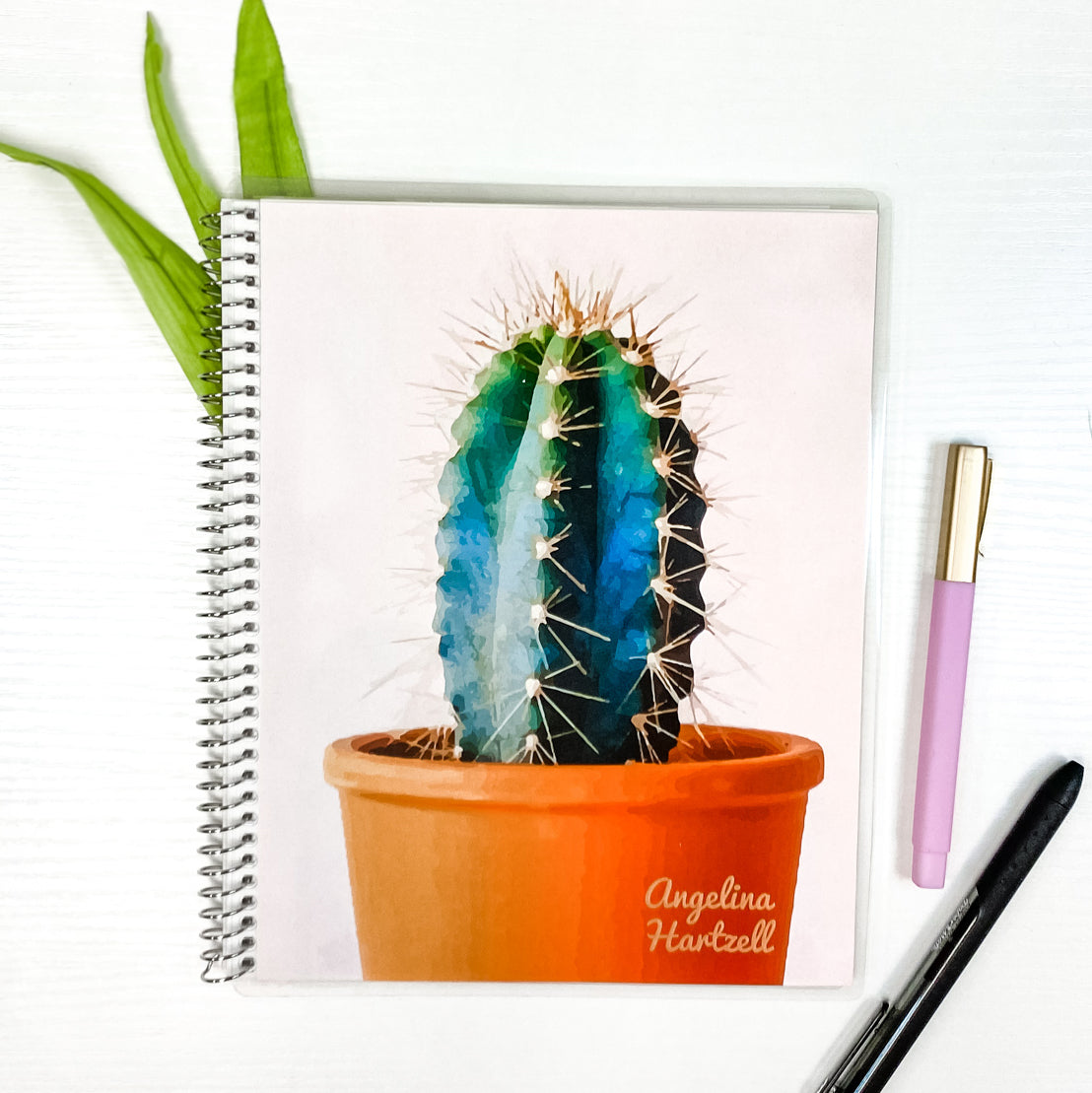 Houseplant Care Journal – Practical Paper Company