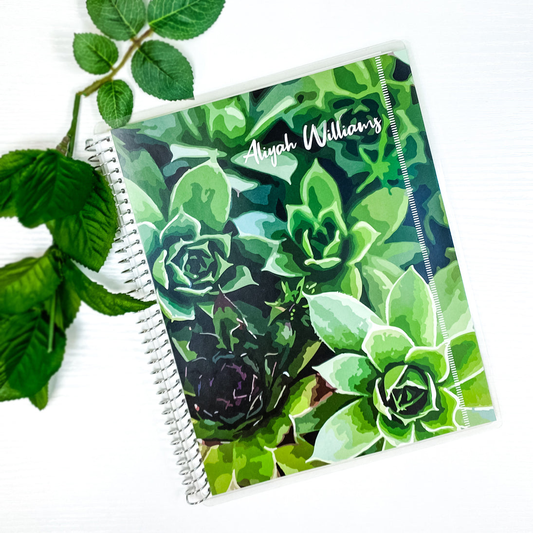 Houseplant Care Journal – Practical Paper Company